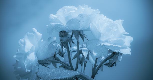 Kuolinpesä: ohjeet kuolinpesän asioita hoitavalle | Nordnet